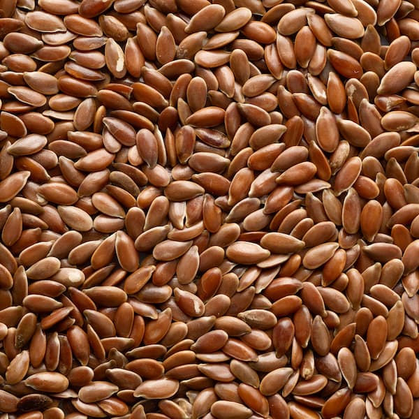 Grand choix de graine pour oiseaux au Québec | Grains Jeans de guise